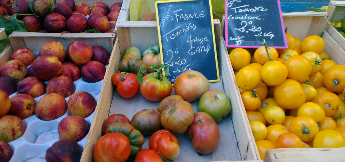 Contact - Moot Point